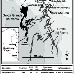 Map of the Grotta Grande del Vento-Grotta del Fiume complex of the Frasassi caves.