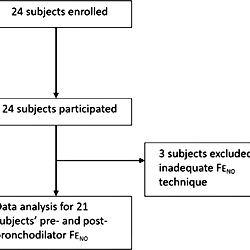 Study profile.