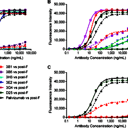 Anti-RSV F antibodies identified from Morphosys HuCAL GOLD® phage ...