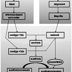 Schematic overview of CLA pipeline.