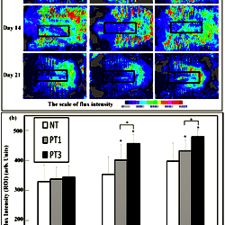 Assessment of blood flow of wound was detected by laser Doppler scanning.