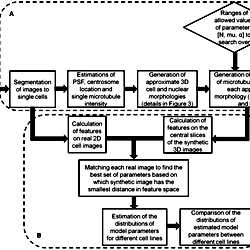 An overview of the framework introduced in this paper.