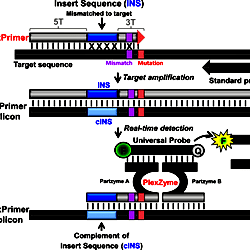 PlexPrimer and PlexZyme detection technology.