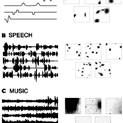 The three sets of temporal and spatial signals used in this study.