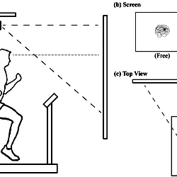 Experimental setup: side view (a) and top view (c).