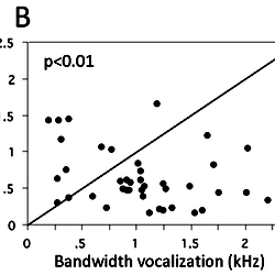 Comparison between the STRF parameters derived from the STRFvoc and the ...