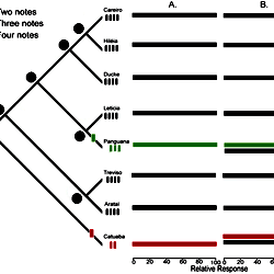 Ancestral state reconstruction and relative response to three ...