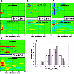 Comparison between STRFs obtained from single action potentials (STRFAP ...