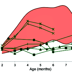 Evolution of the motor score during the treatment.