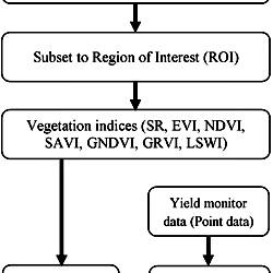 Image processing flow chart.