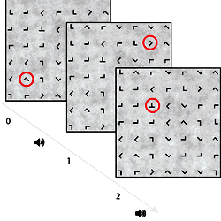 Guided visual search task.