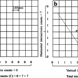 Ilustration of the intersection of gridlines with a stained hypha and ...