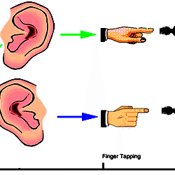 Sound-cue finger tapping task.
