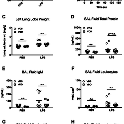Lung injury and inflammation 10 days after LPS instillation.