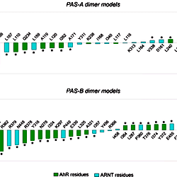 Rank Products profiles from the comparison of the PAS-A and PAS-B dimer ...