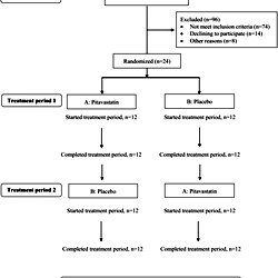 Flowchart of Subjects Participating in the Different Phases of ...