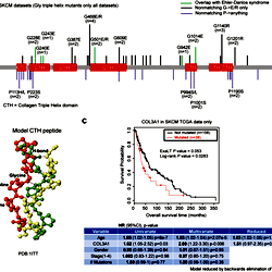 COL3A1 mutations are associated with melanoma.