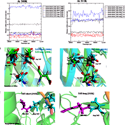 Molecular Dynamics Simulations and Structural Analysis to Decipher ...