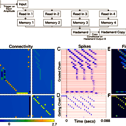Autonomous decision making circuit.
