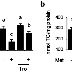 PPARγ agonists or antagonists affect the TG loss caused by AMPK activators without t10c12 CLA ...