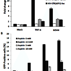 M344 activates the HIV-1 LTR through induction of NF-κB.