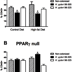 Effect of Helicobacter pylori infection on white adipose tissue (WAT ...