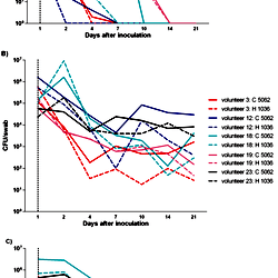 Three elimination patterns.