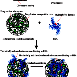 Effect of HSA complexation on drug released from nanoparticles.