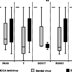DNA methylation level in hiPSC lines derived via different ...
