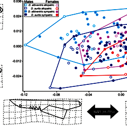 Scatter plot of RW1 versus RW2.