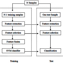 A flowchart of the multi-model method for classification.