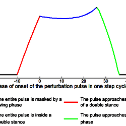 The average speed of the model (step length/step duration), v, vs. the ...
