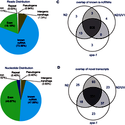 Sequencing data analysis.