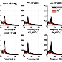Experiment II results: amplitude spectra of IRF.