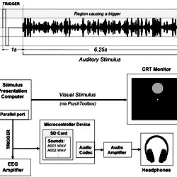 Different methods of auditory stimulation used in the two experiments.