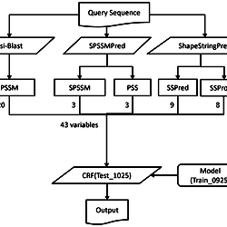 The flowchart of TurnP.