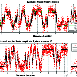 Generation of ToR maps with the ARTO algorithm.