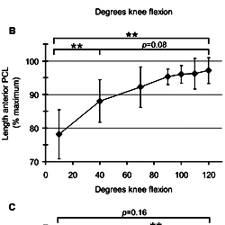 Distance between PCL attachments, and PCL surface length, at flexion ...