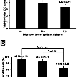 Tissue viability analysis.