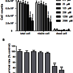 The cytotoxic effect of meth on human lung epithelial A549 cells.