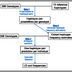 Overview of methods for estimation of haplotypes consisting of fully ...