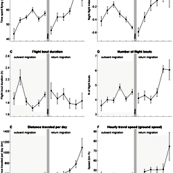 Variation in the flight activity patterns (means ± SE) along the ...