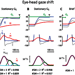 Three examples of submovement composition of head movement during eye ...