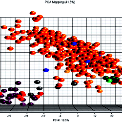 PCA plot of TCGA and NOB samples in combined methylation data set.