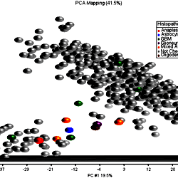 PCA plot of TCGA and NOB samples in combined methylation data set.