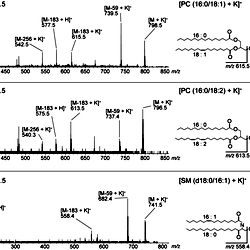 Identified molecules.