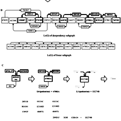 An example of how to compute hierarchical hash labels.