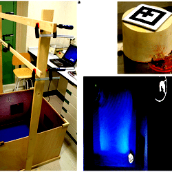 The rat arena and robot device.