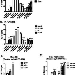 PF-5177624 blocked IGF-I induced cell cycle progression in MCF7 and ...