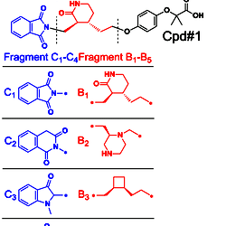 Diagrammatically showing the core hopping procedure.